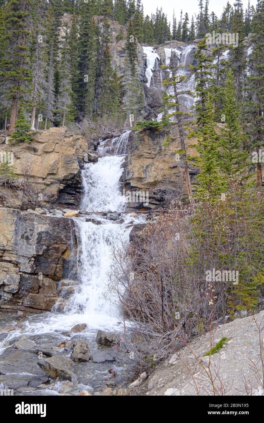 Tangle Creek Falls In Jasper National Park High Resolution Stock ...