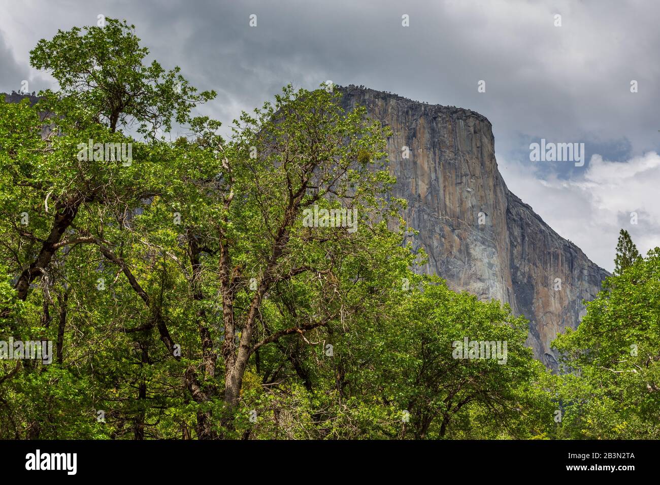 View of the El Capitan, vertical rock formation in Yosemite National ...
