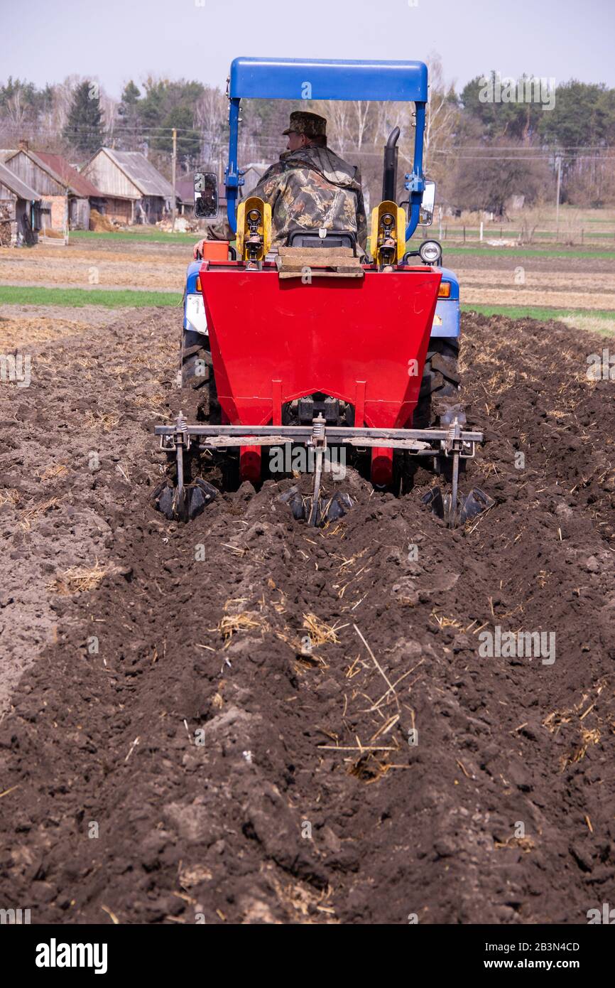 A farmer planting a potato in the field with a special seed potatoes ...