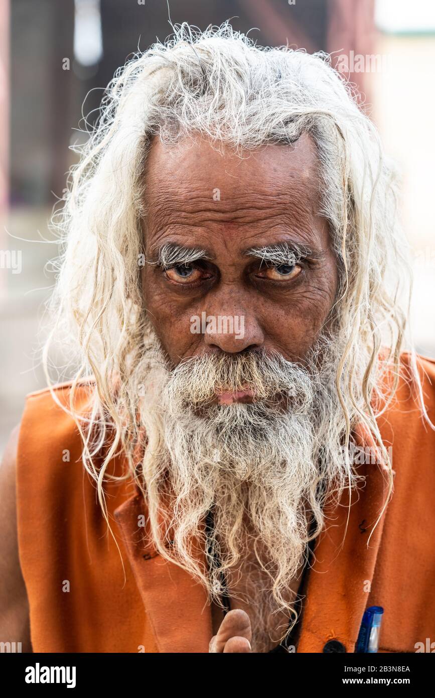 Head shot portrait of wild looking senior sadhu (holy man) with long ...