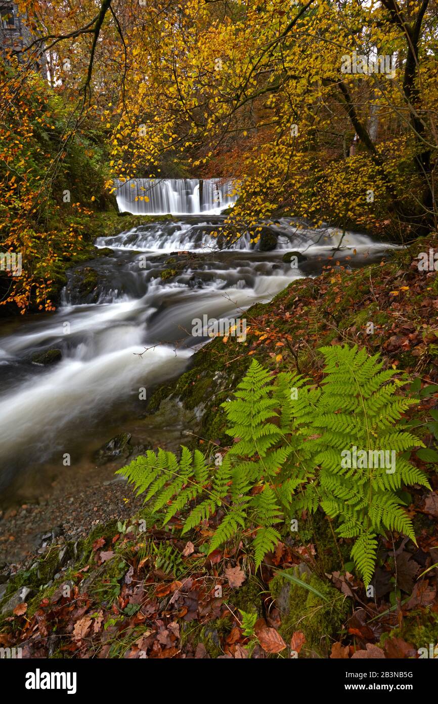 Stock ghyll waterfalls ambleside hi-res stock photography and images ...