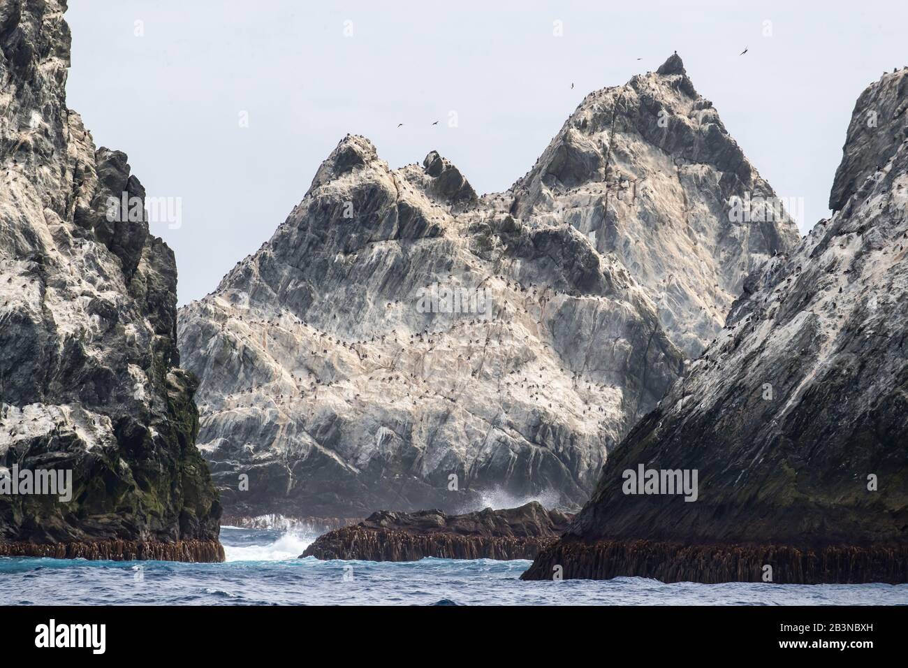 The remote islets known as Shag Rocks, South Georgia, UK Overseas ...