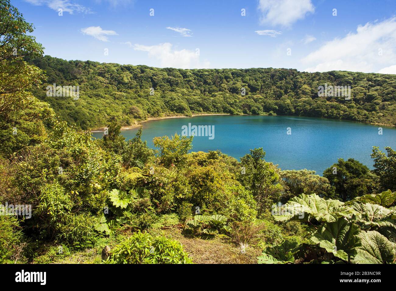 Crater lake in the Poas volcano, San Jose, Costa Rica, Central America ...