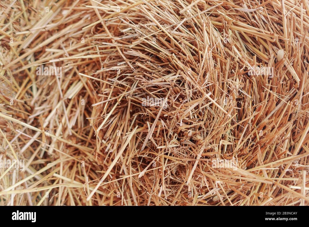 A pile of hay. Hay straw background texture Stock Photo - Alamy