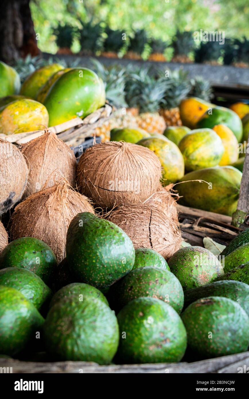 Fresh coconut and tropical fruit in straw baskets, La Gaulette, Black ...