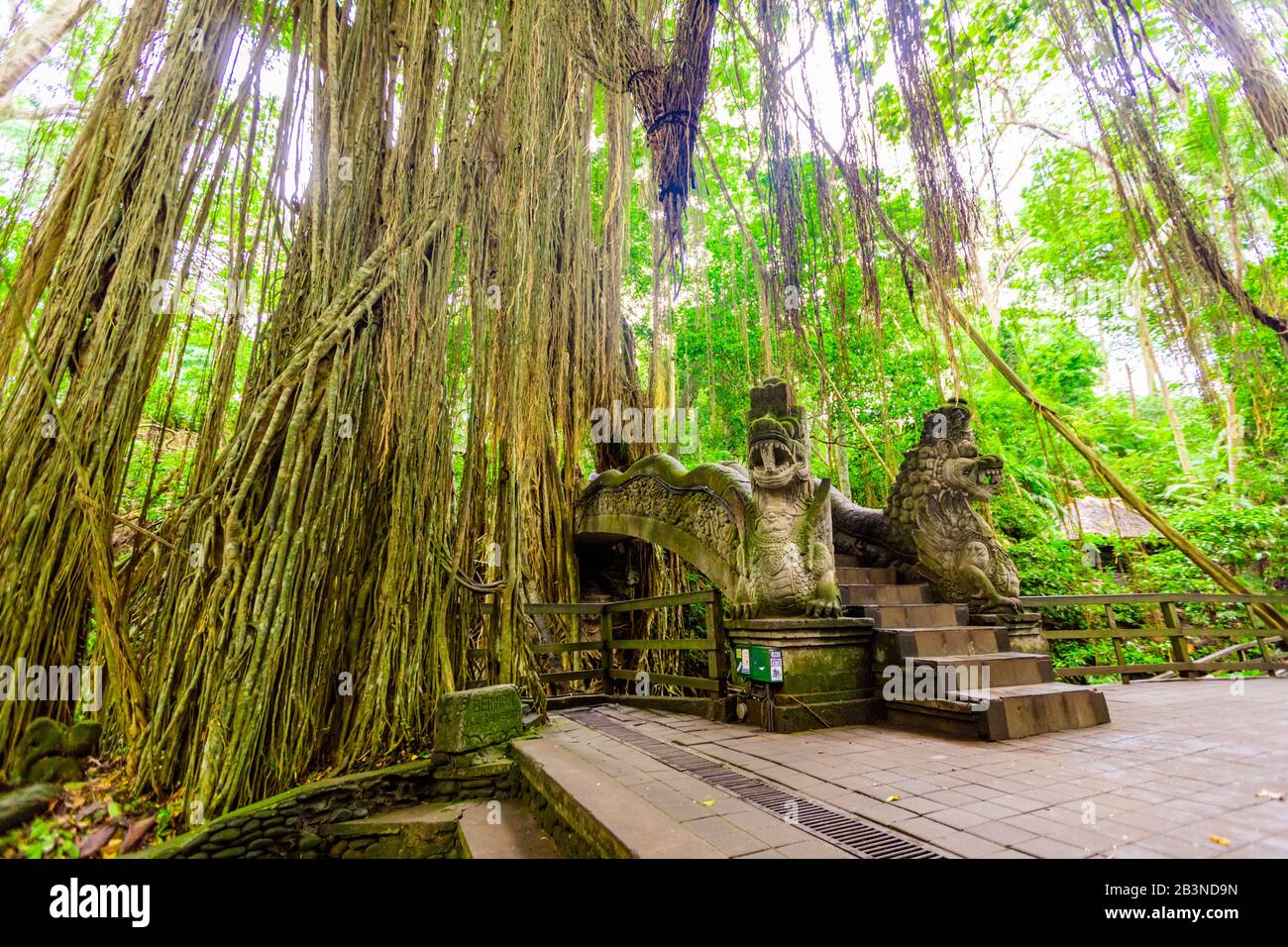 The Sacred Monkey Forest, home to 700 monkeys, Ubud, Bali, Indonesia ...