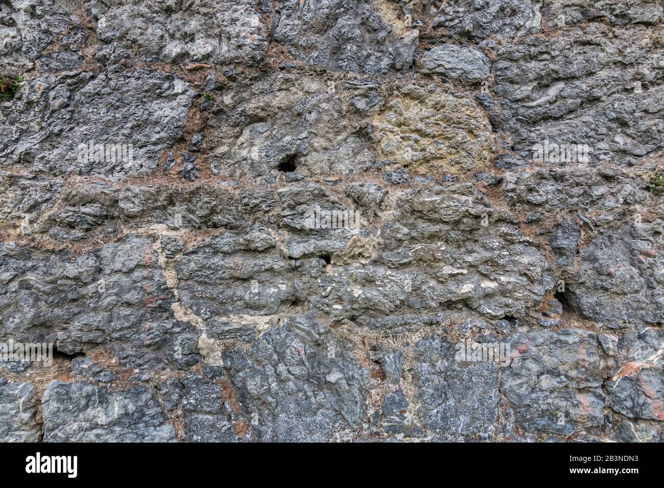 Detailed skin surface hi-res stock photography and images - Alamy