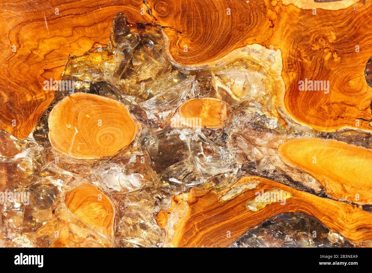 Unique wooden texture formed by years in nature Stock Photo - Alamy