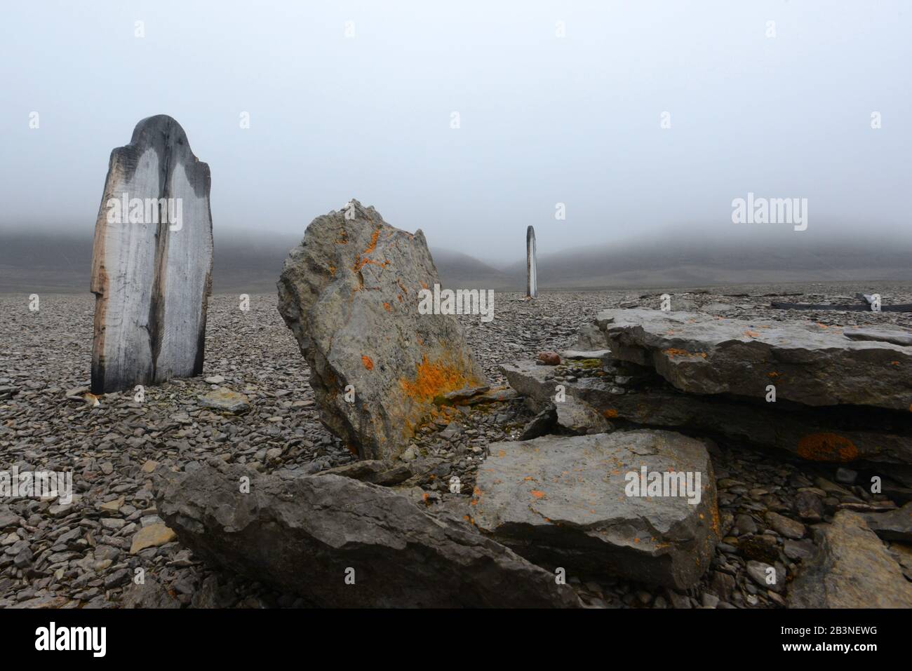 Gravesite of John Torrington member of the Franklin Expedition, died ...