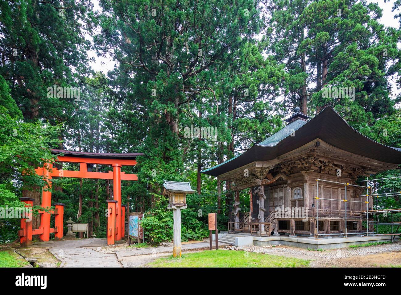 Torii gate on Mount Haguro, Dewa Sanzan Hagurosan temple, Yamagata ...
