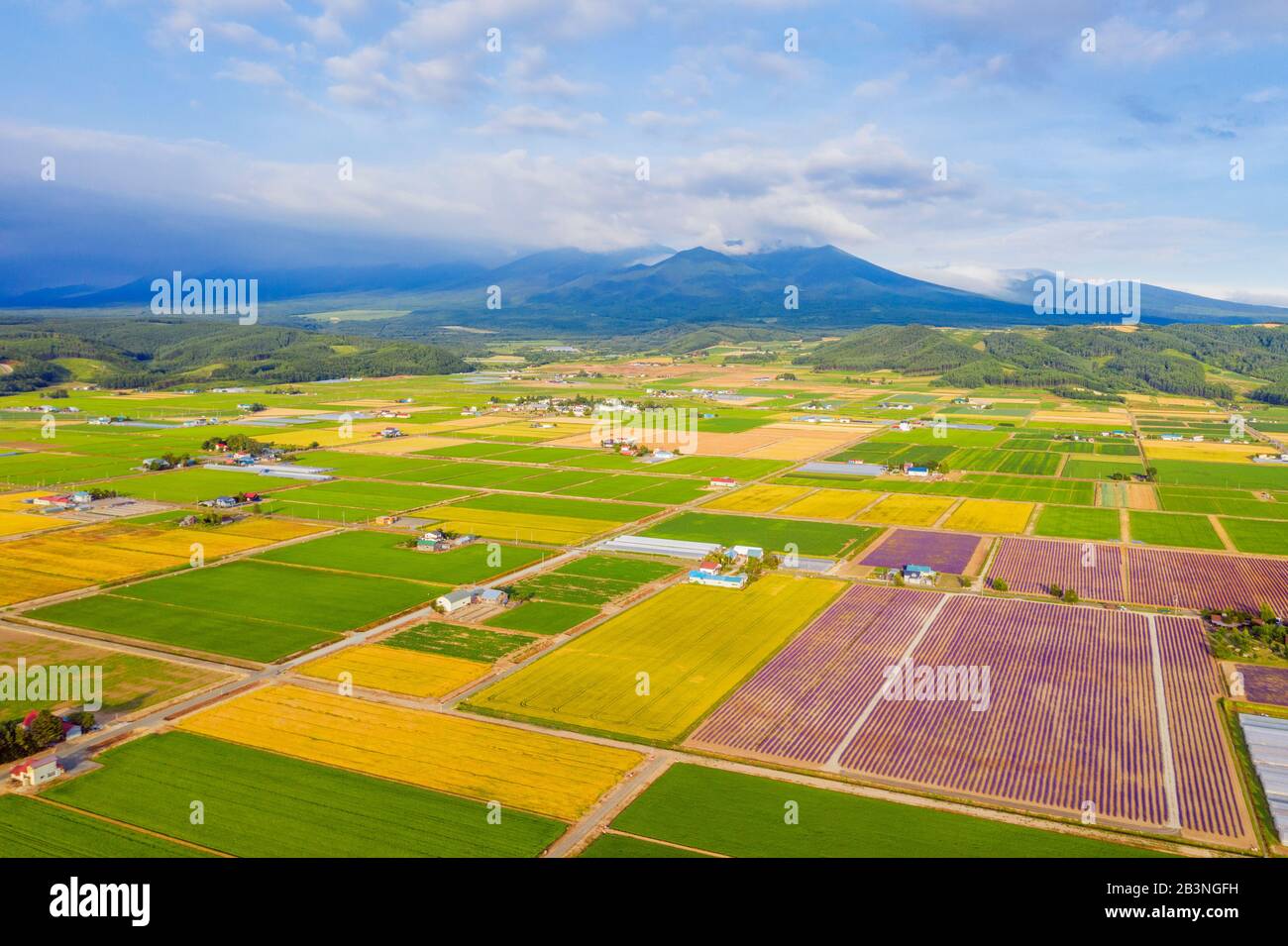 Aerial view of farmland, Furano, Hokkaido, Japan, Asia Stock Photo - Alamy