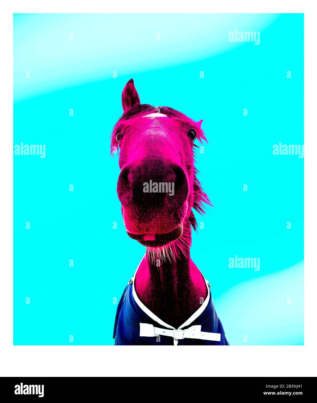 Paul cunningham Cut Out Stock Images & Pictures - Alamy