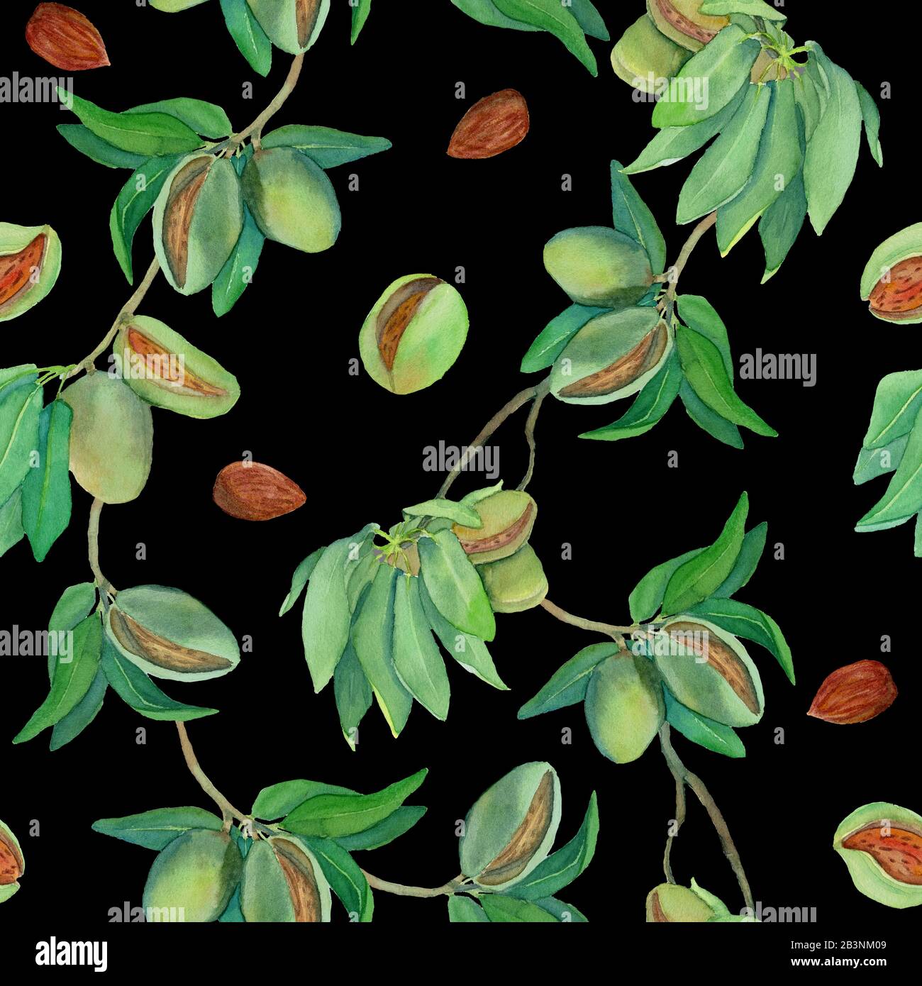 Almond design hi-res stock photography and images - Alamy