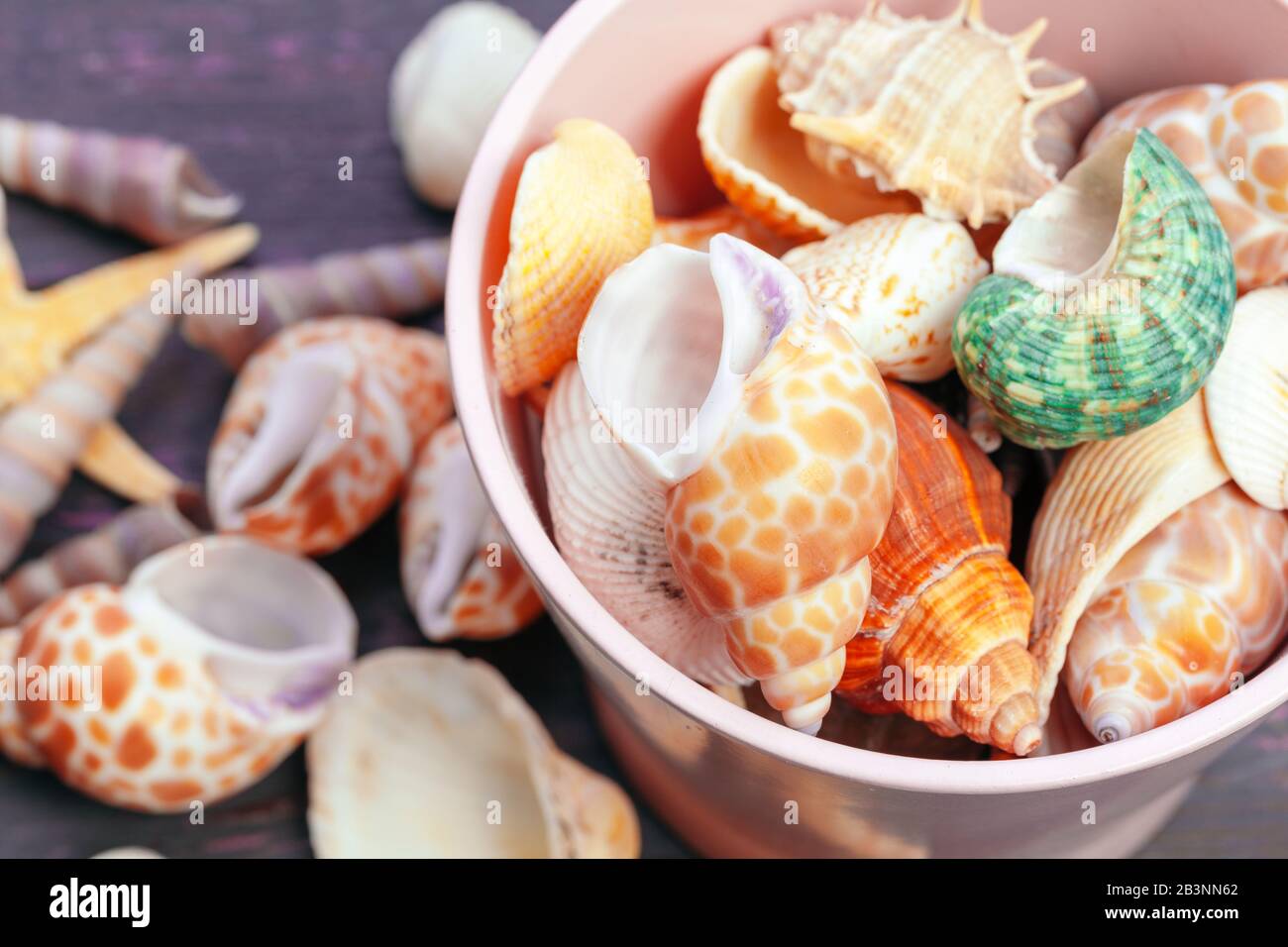 Different sea shells on color wooden background Stock Photo - Alamy