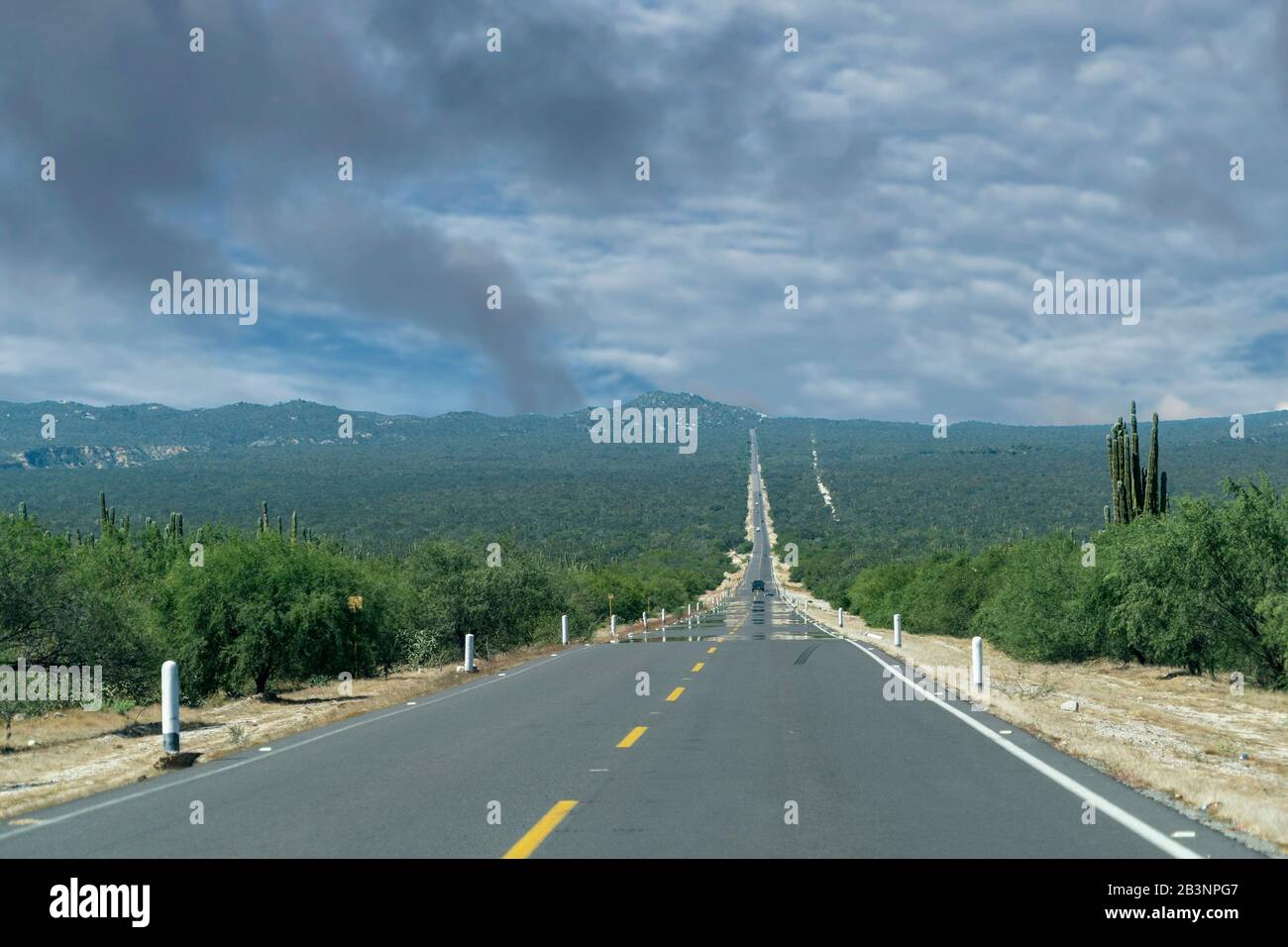 driving in Mexico baja california desert endless road Stock Photo - Alamy