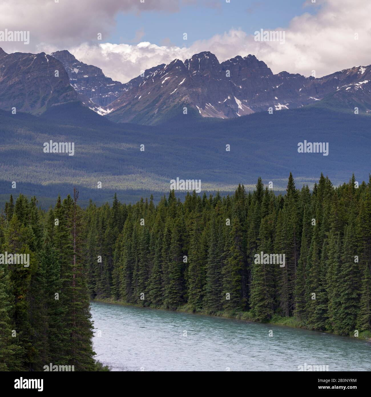 Elevated view of a river, Bow River, Bow Valley Parkway, Banff National ...
