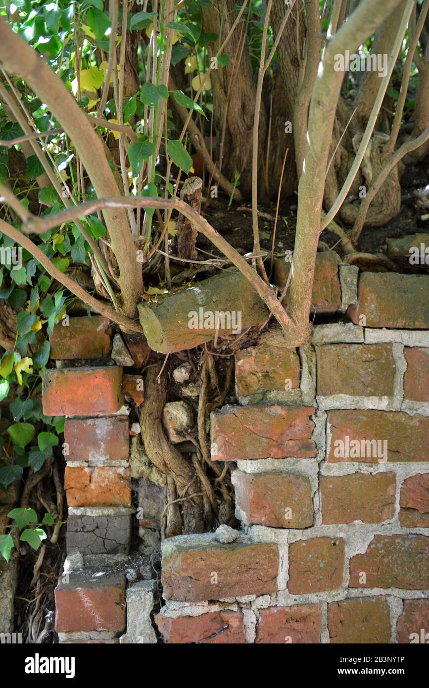 Mauerwerk mauerwerk hi-res stock photography and images - Alamy