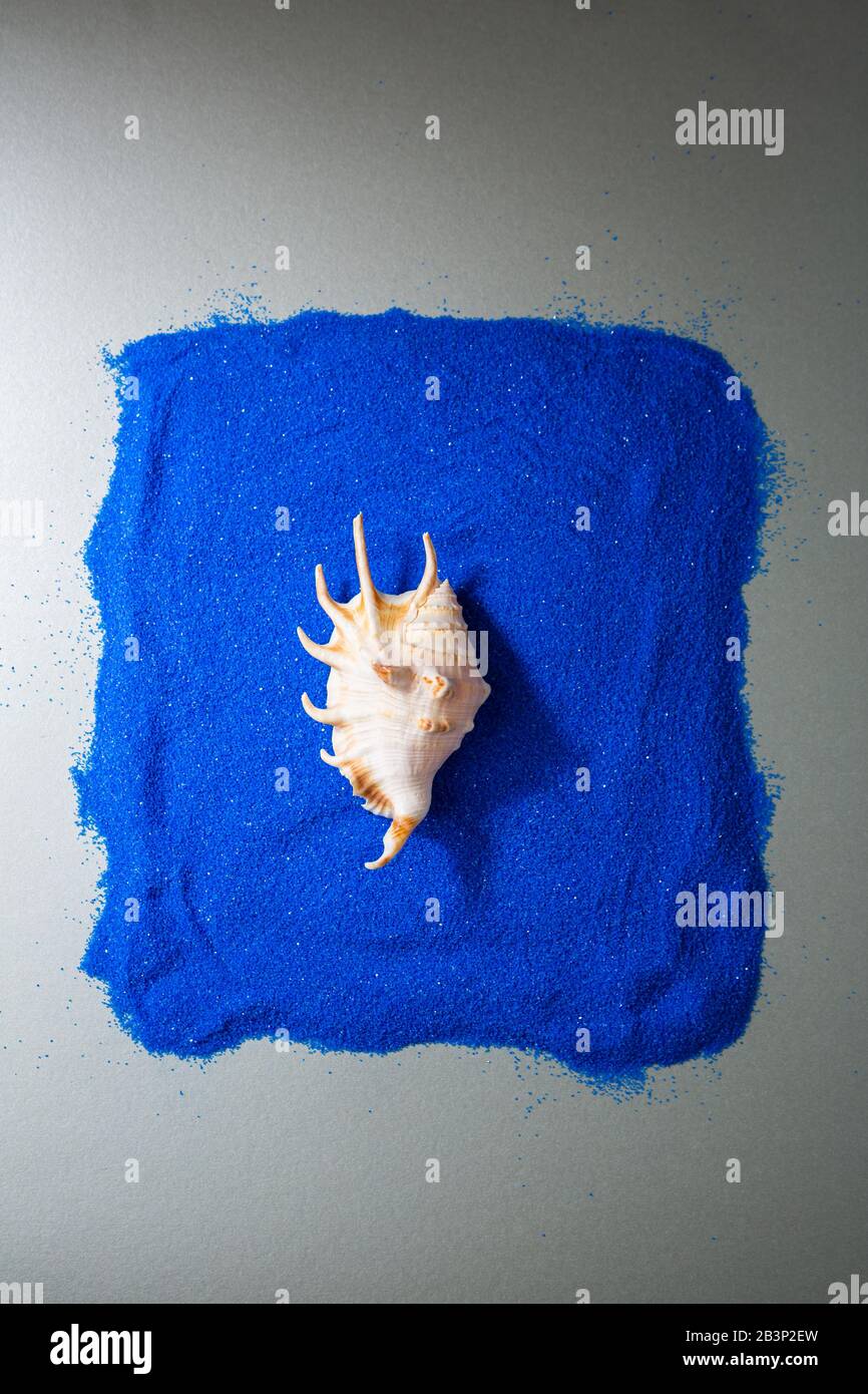 Shell and blue sand Stock Photo - Alamy
