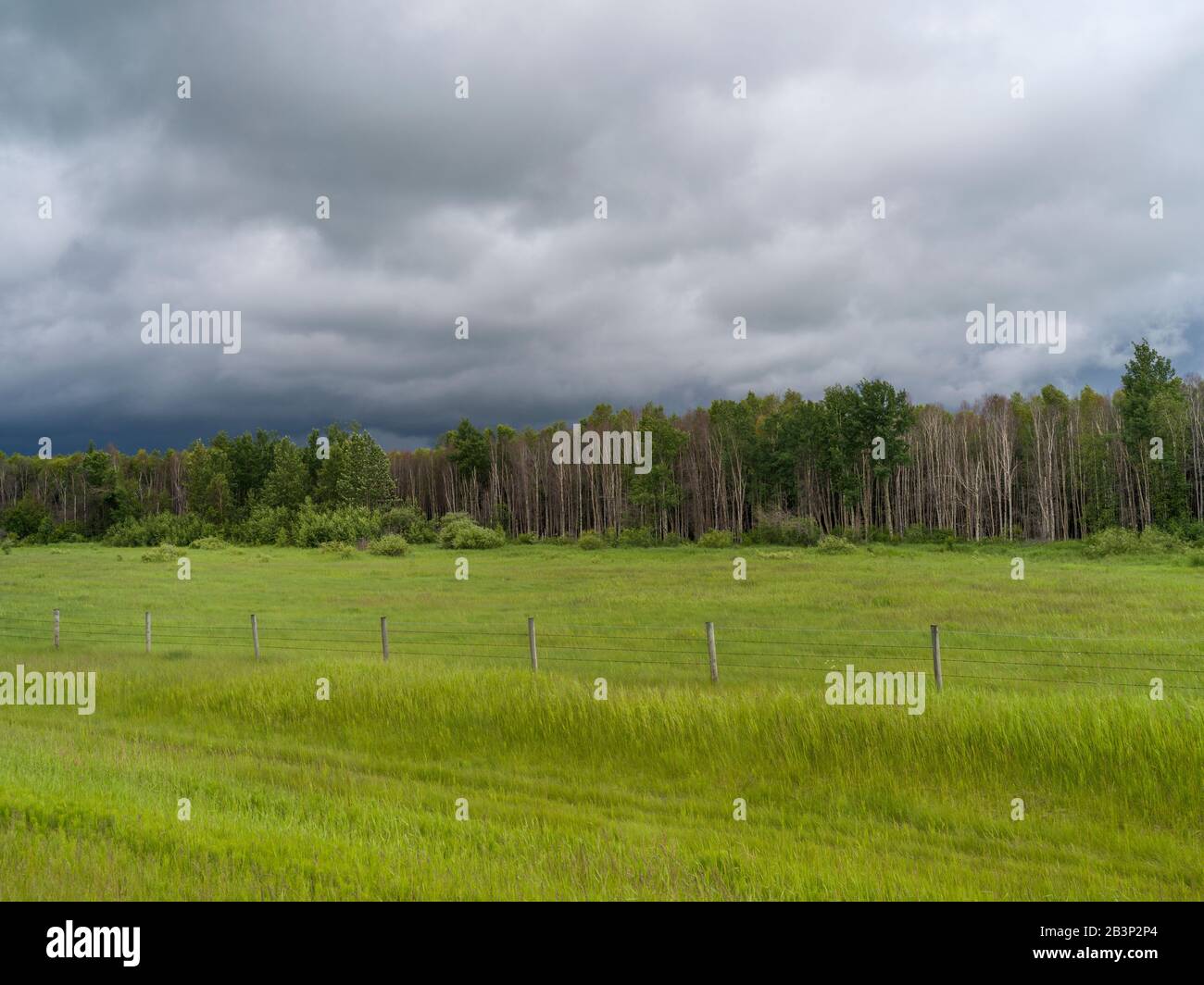Scenic view of field in rural area, Alberta Prairies, Alberta, Canada ...