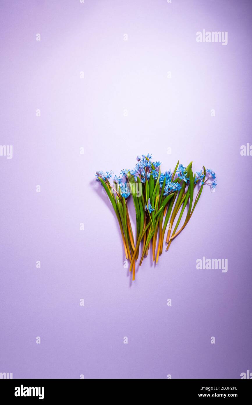 flowers overhead view Stock Photo - Alamy