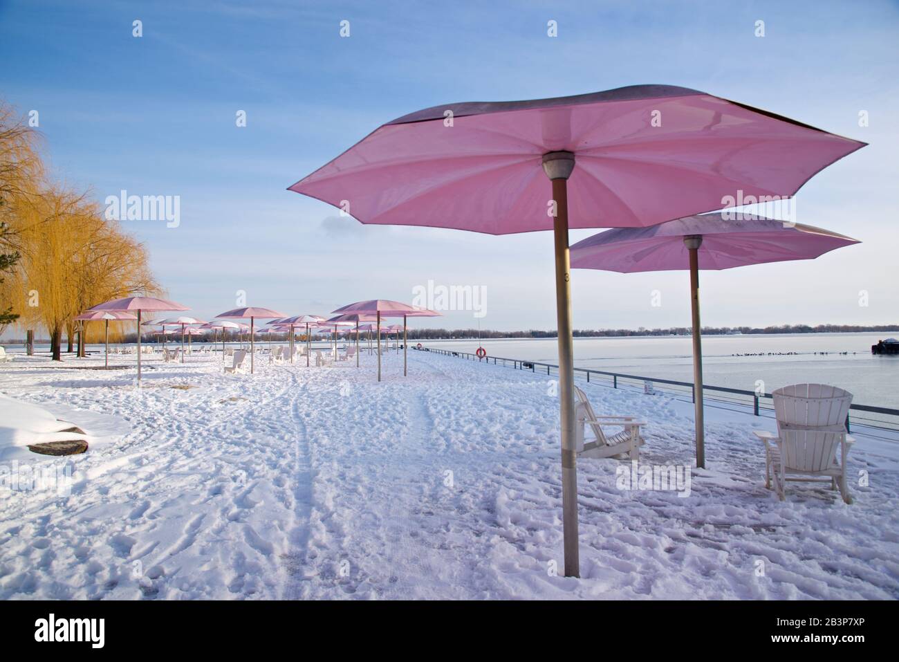 Snow-covered beach with Beach chairs umbrellas Stock Photo - Alamy