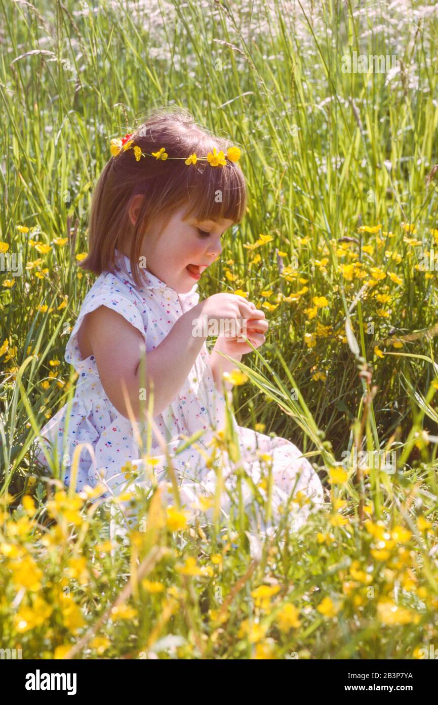 little girl making flower chain out of buttercups, wearing buttercup ...