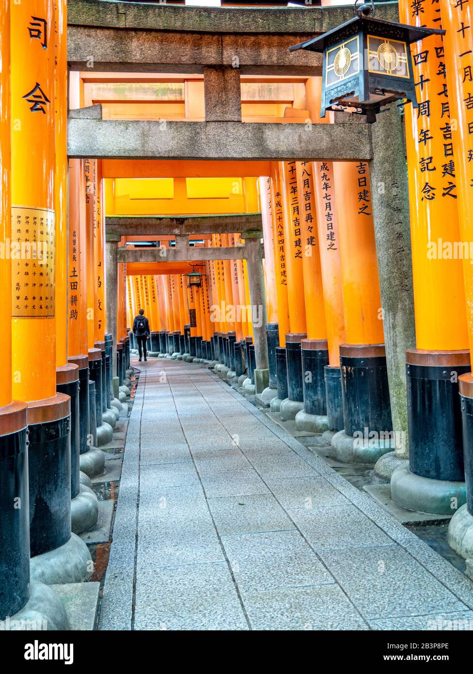 Beautiful orange tori gates line the path to the Fushimi Inari Taisha ...