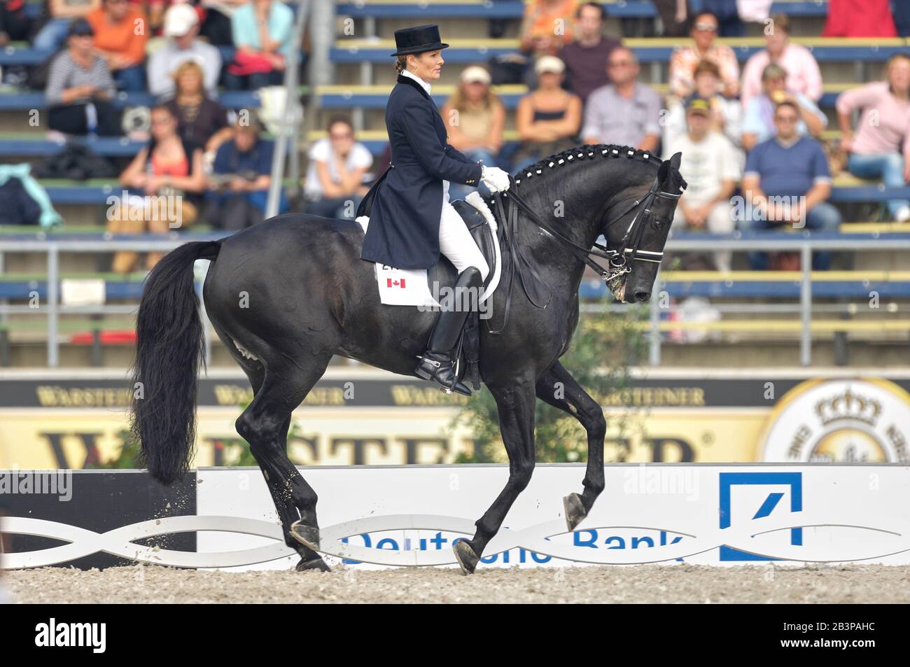 Ashley Holzer (CAN) riding Gambol - World Equestrian Games, Aachen ...