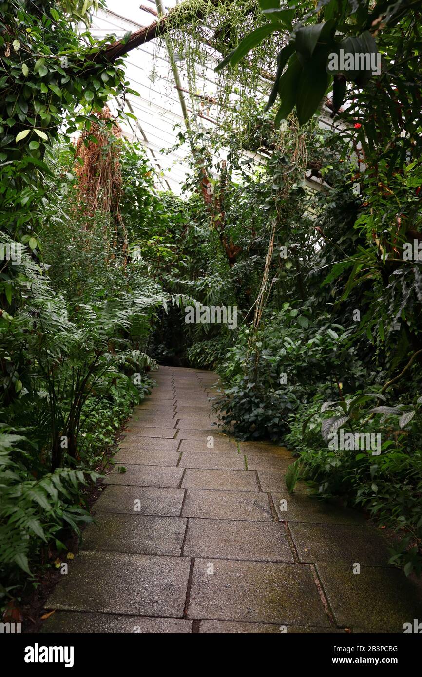 Pathway in Botanical Garden Stock Photo - Alamy