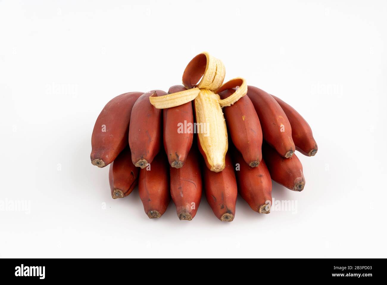 fresh red banana isolated on white background. group of varieties of ...