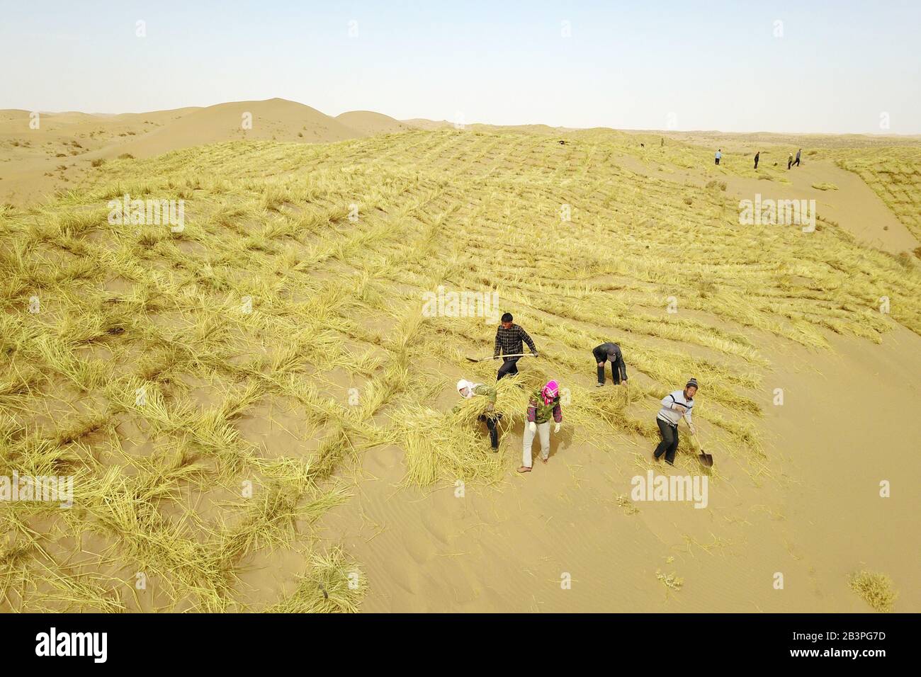 Anti desertification hi-res stock photography and images - Alamy