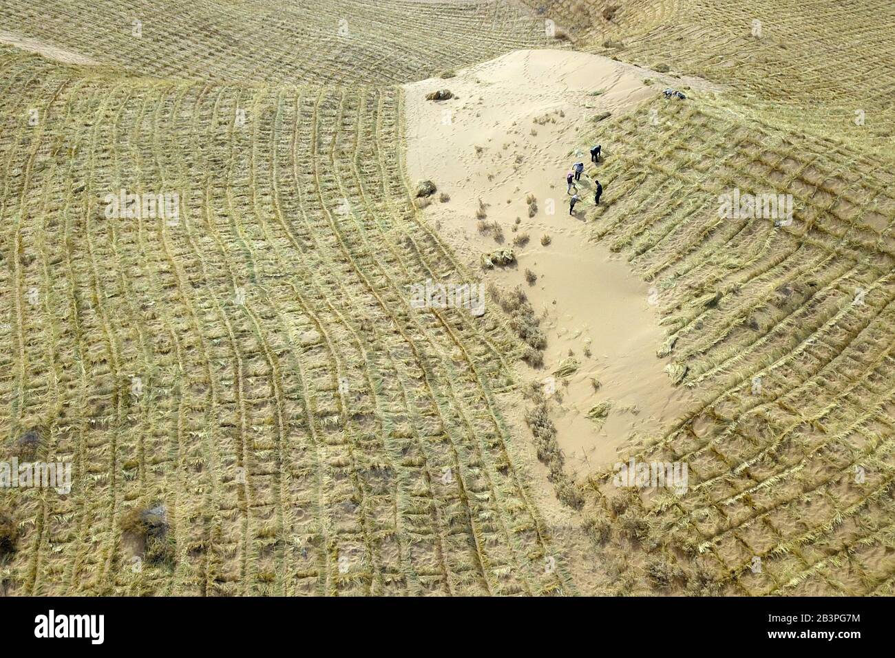 Anti desertification hi-res stock photography and images - Alamy