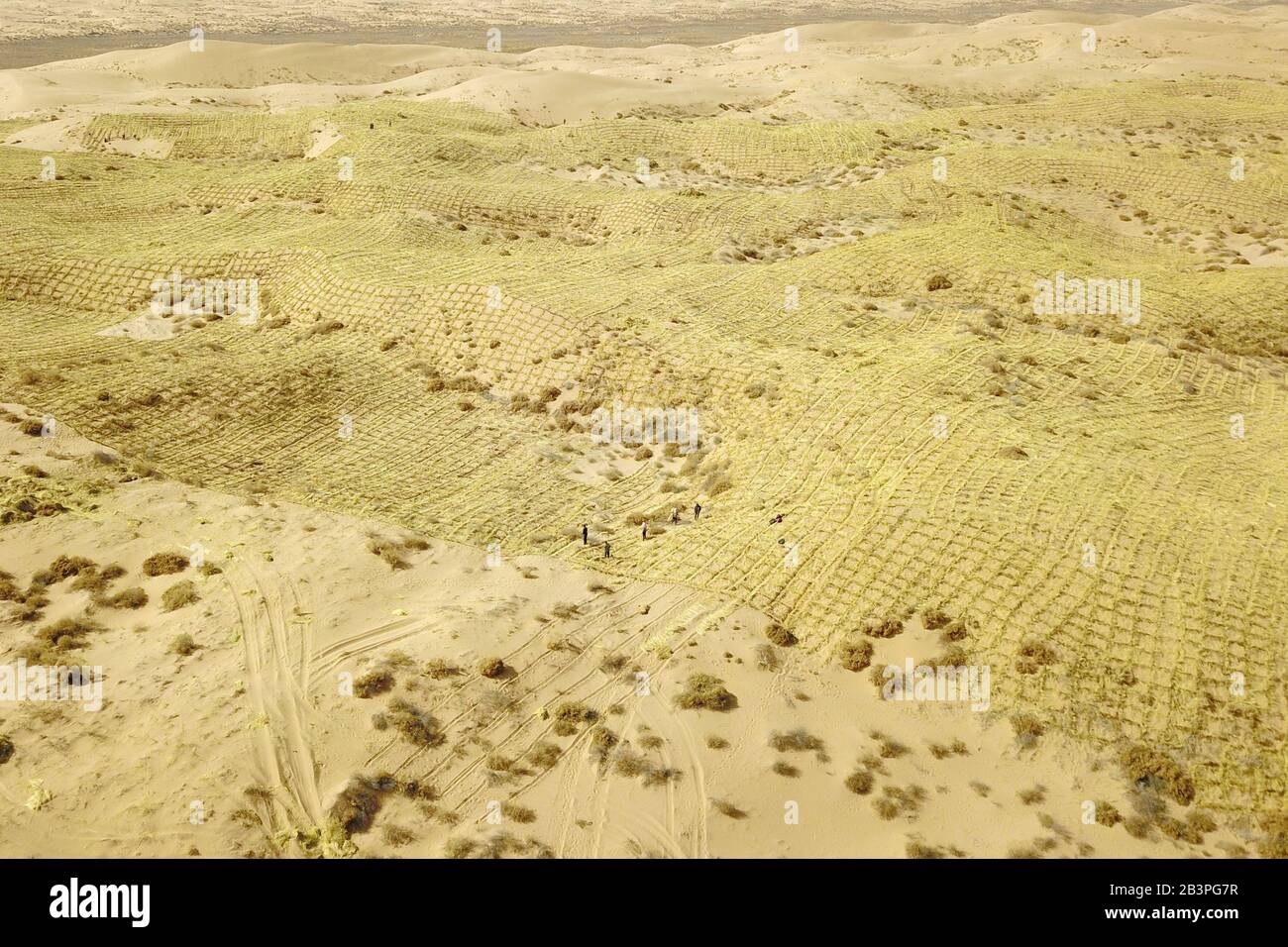 Anti desertification hi-res stock photography and images - Alamy