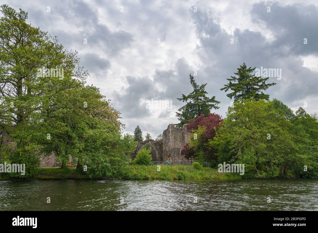 Inchmahome island from loch of menteith hi-res stock photography and ...