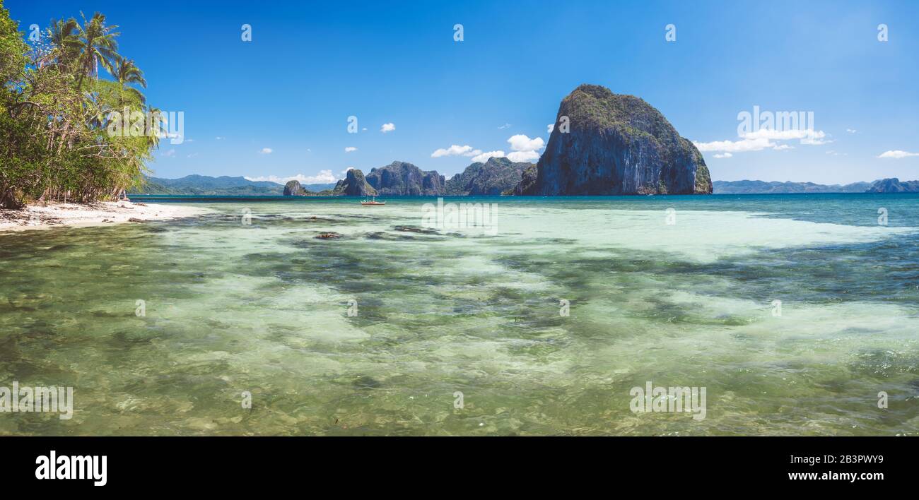 Ipil ipil tree hi-res stock photography and images - Alamy