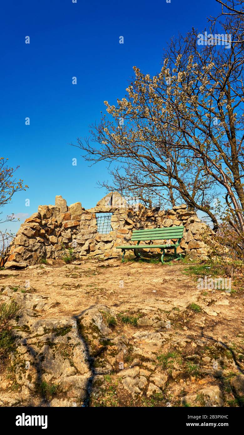 Harz germany witch hi-res stock photography and images - Alamy