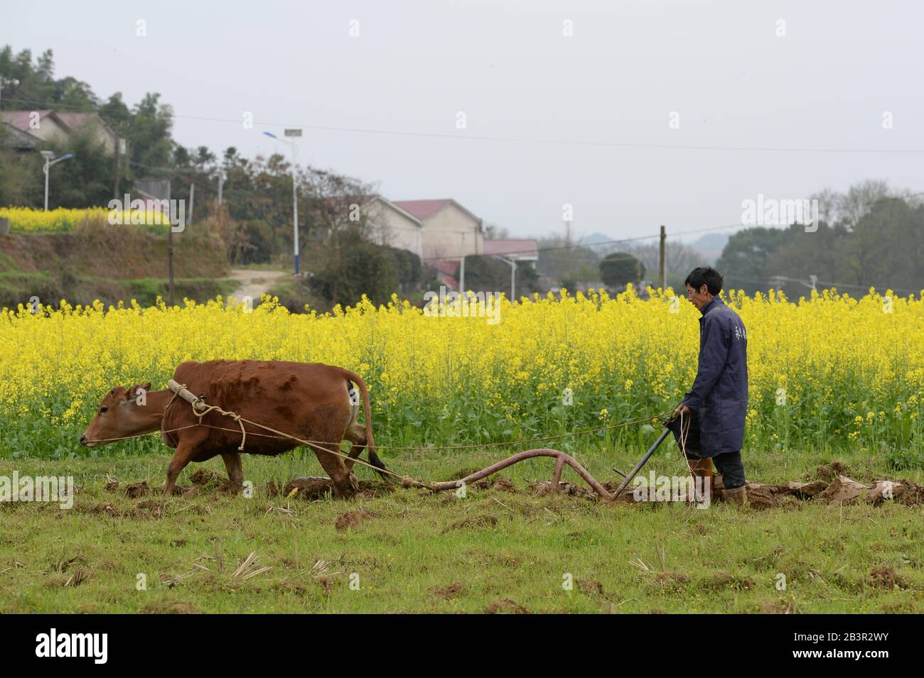 City of yutan hi-res stock photography and images - Alamy