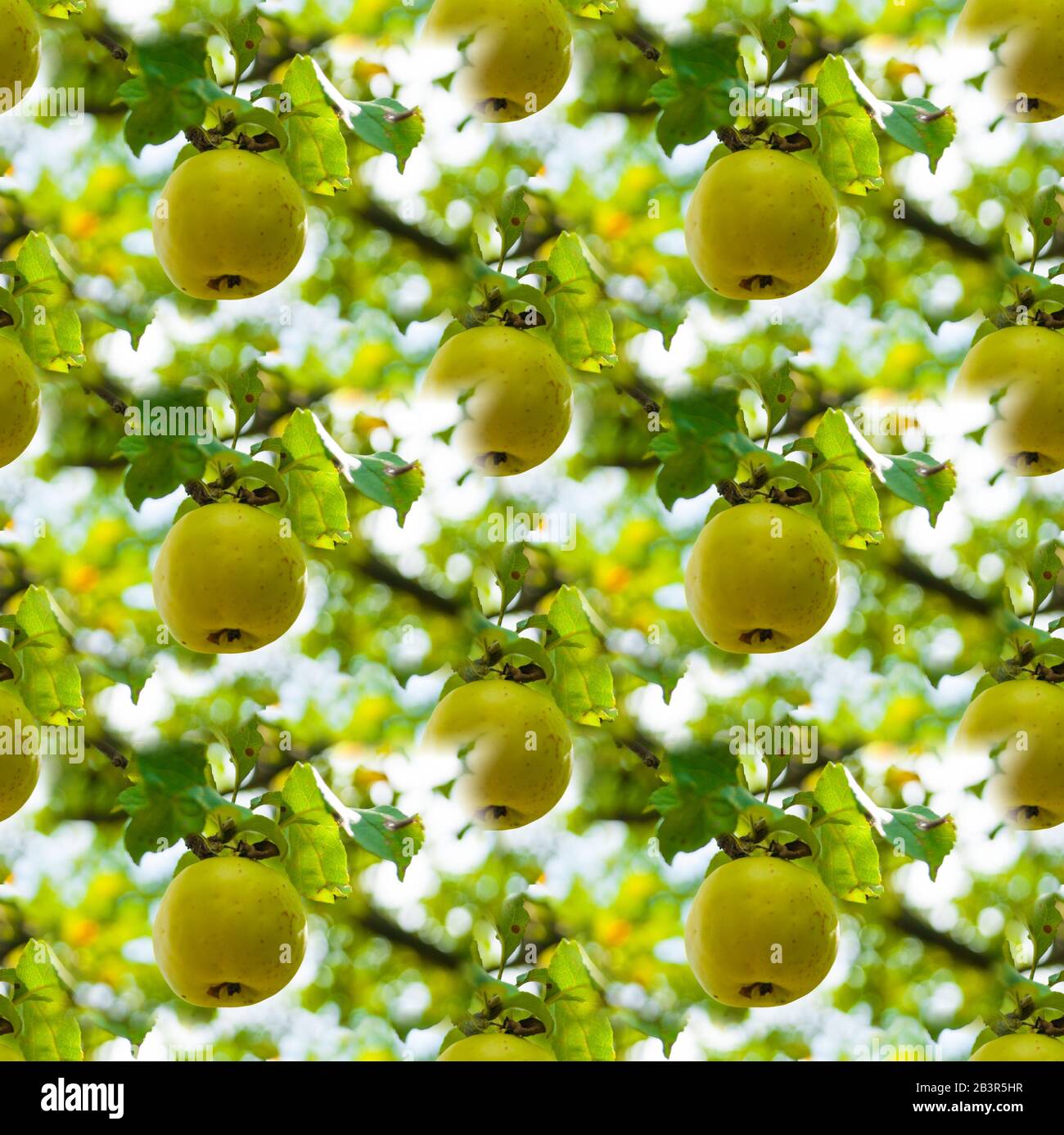 Textiles and wallpapers hi-res stock photography and images - Alamy