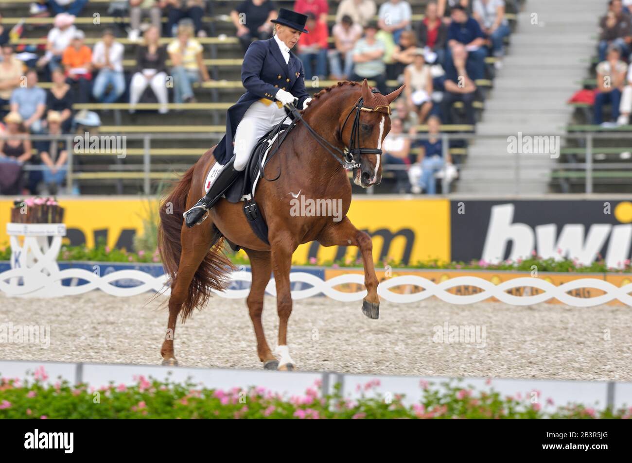 Evi Strasser (CAN) riding Quantum Tyme - World Equestrian Games, Aachen ...