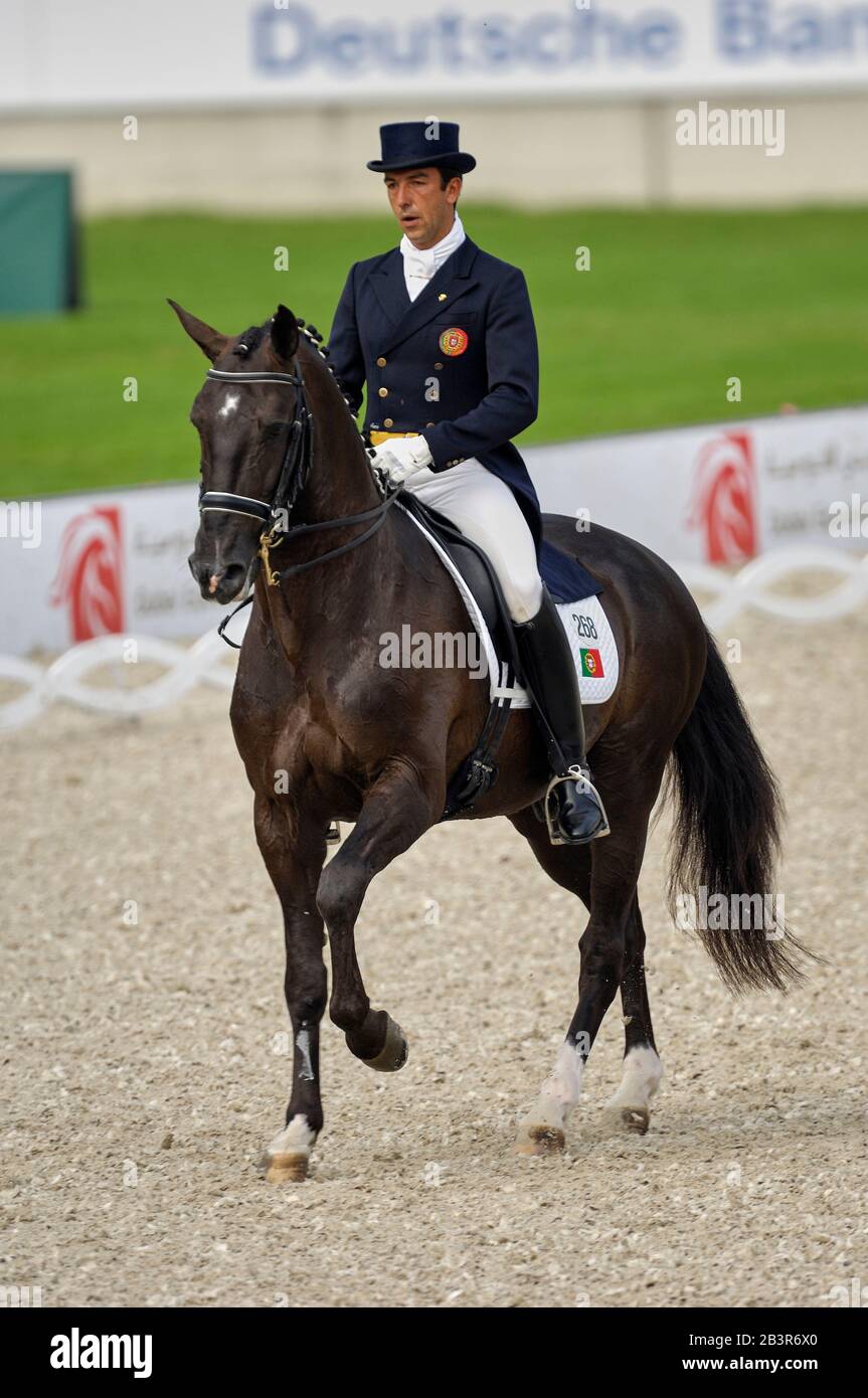 Daniel Pinto (POR) riding Galopin de la Font - World Equestrian Games ...