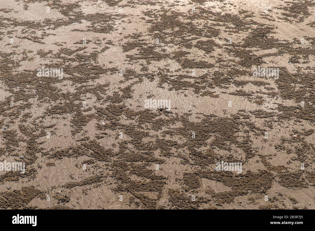 Sand texture for background. Closeup of sand pattern of a beach in the ...