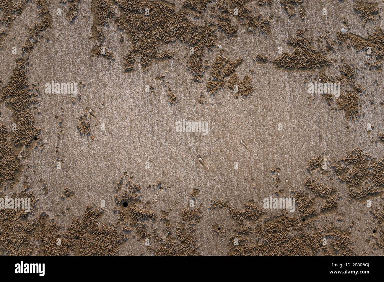 Sand texture for background. Closeup of sand pattern of a beach in the ...