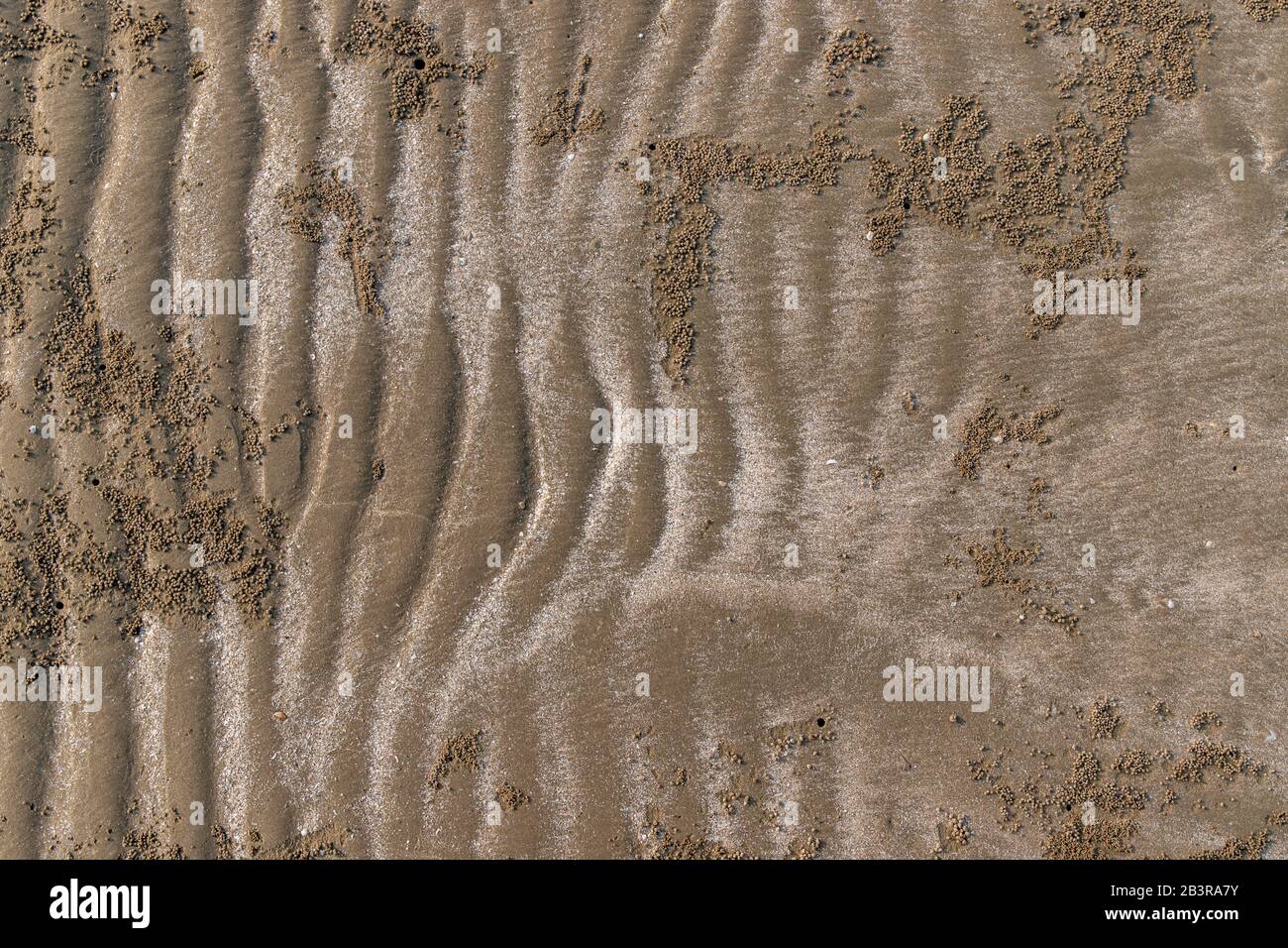 Sand texture for background. Closeup of sand pattern of a beach in the ...