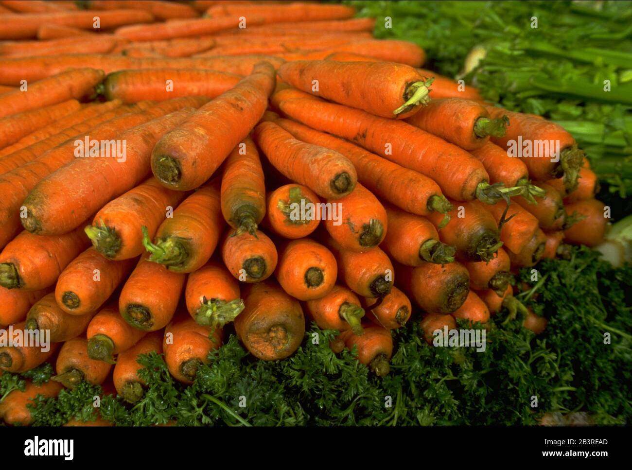 Austin, Texas USA: Raw carrots displayed in produce department at ...