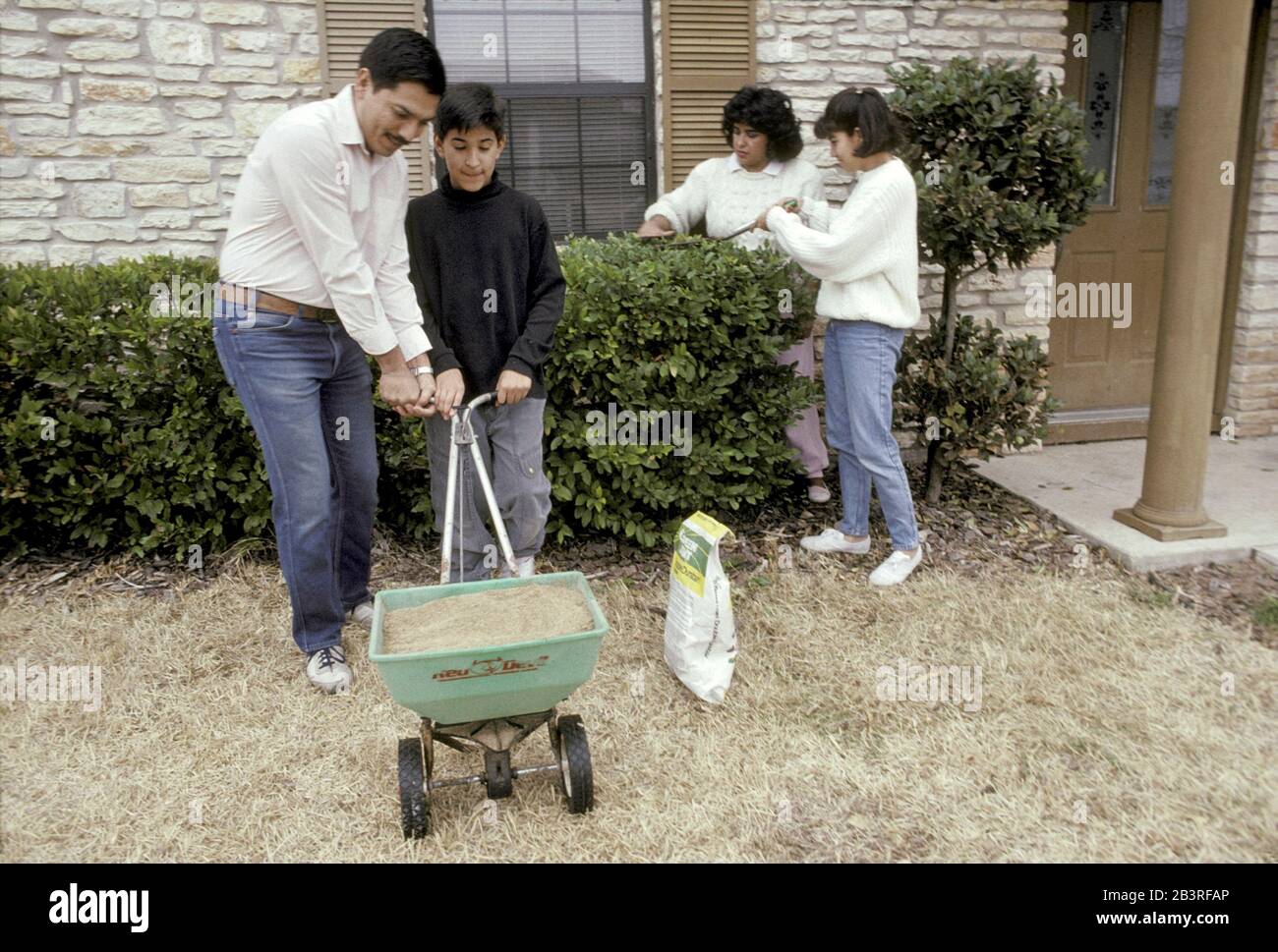 Austin, Texas USA: Hispanic parents and their teenaged children do yard ...