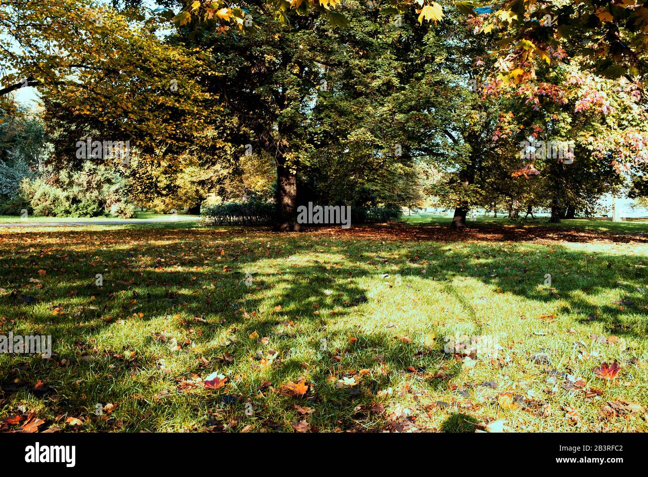 London greenery hi-res stock photography and images - Alamy