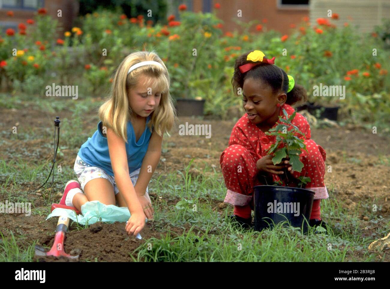 Flower classs hi-res stock photography and images - Alamy