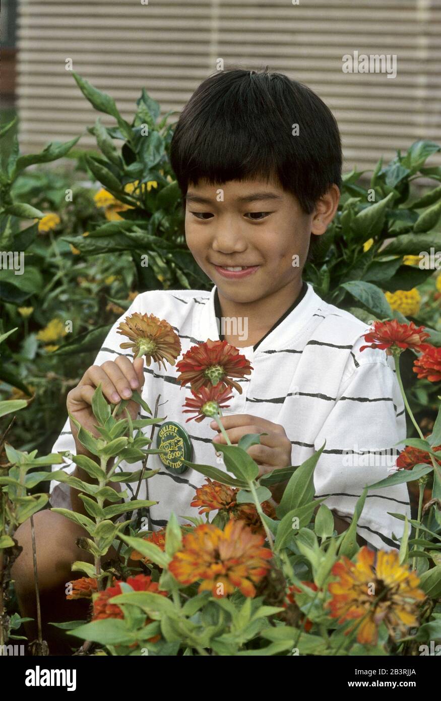 Child using senses hi-res stock photography and images - Alamy