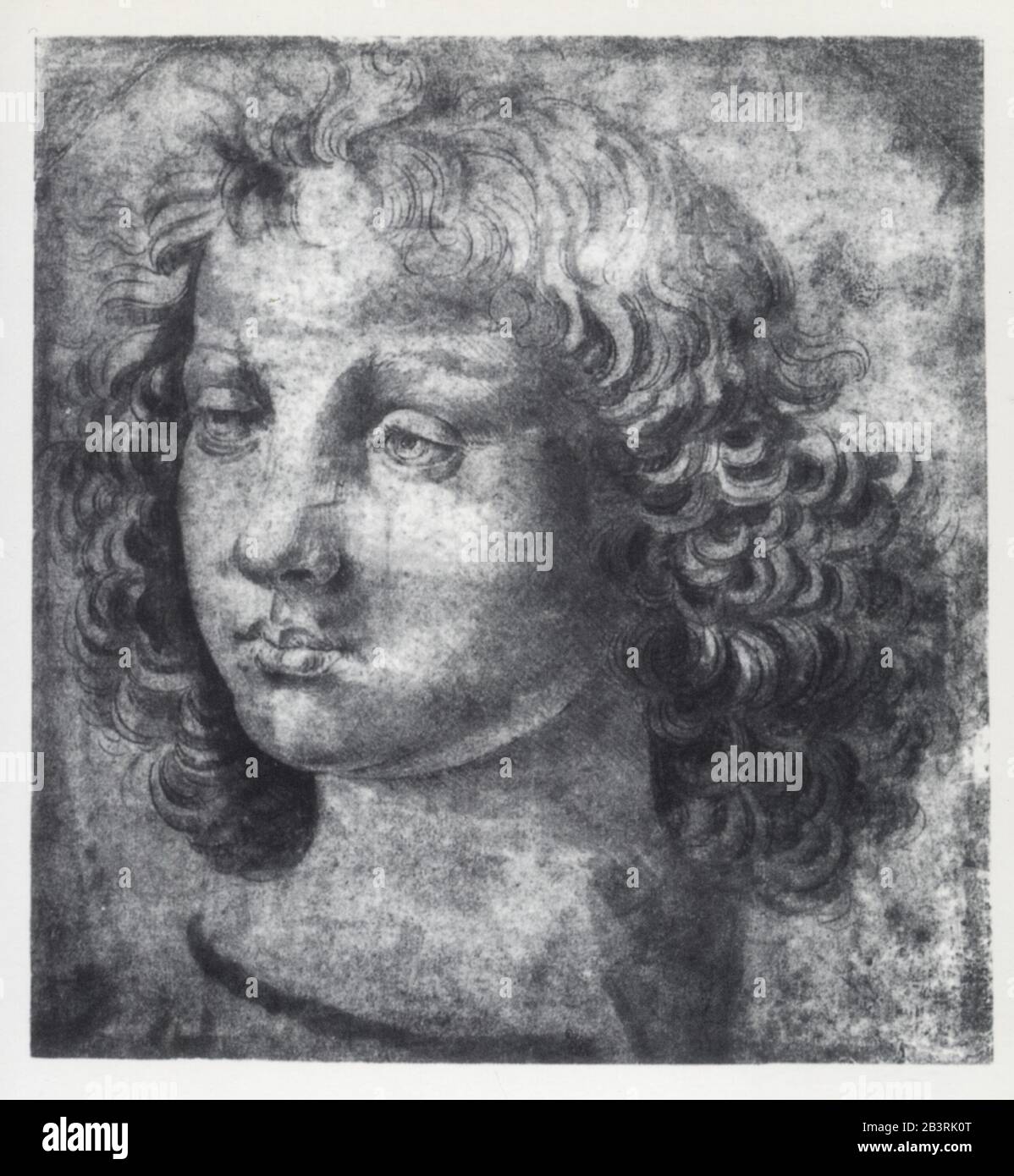 Young leonardo da vinci hi-res stock photography and images - Alamy