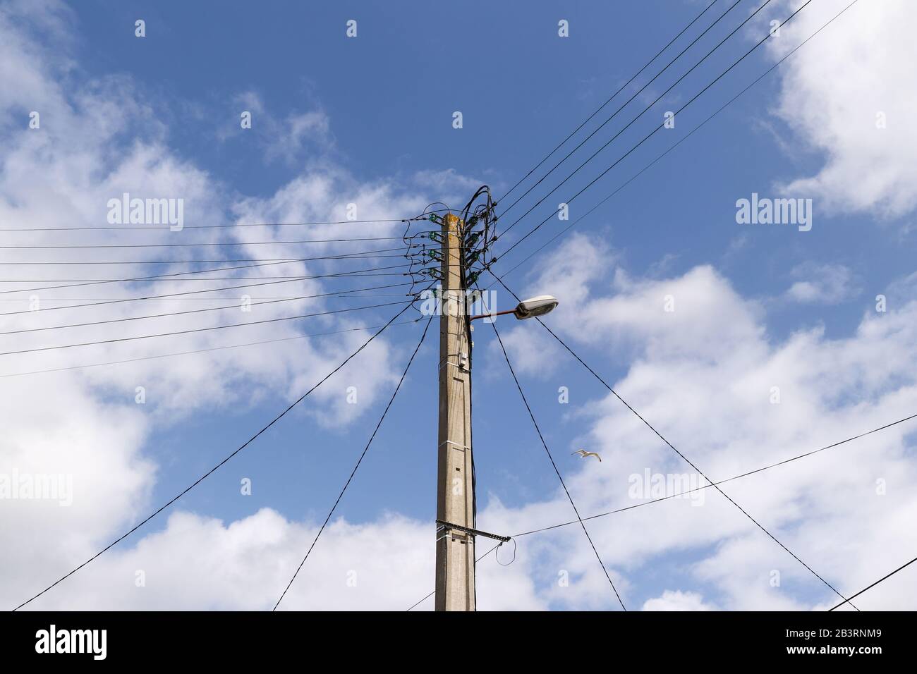 Detail of the power-transmission pole - electric power line Stock Photo ...